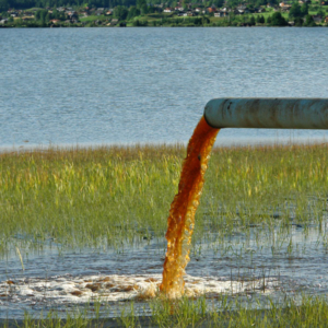 Why Is Clean Water Essential? Water Quality Lessons For Kids - Clark Public Utilities PowerZone