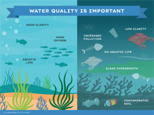 Why Is Clean Water Essential? Water Quality Lessons For Kids - Clark ...