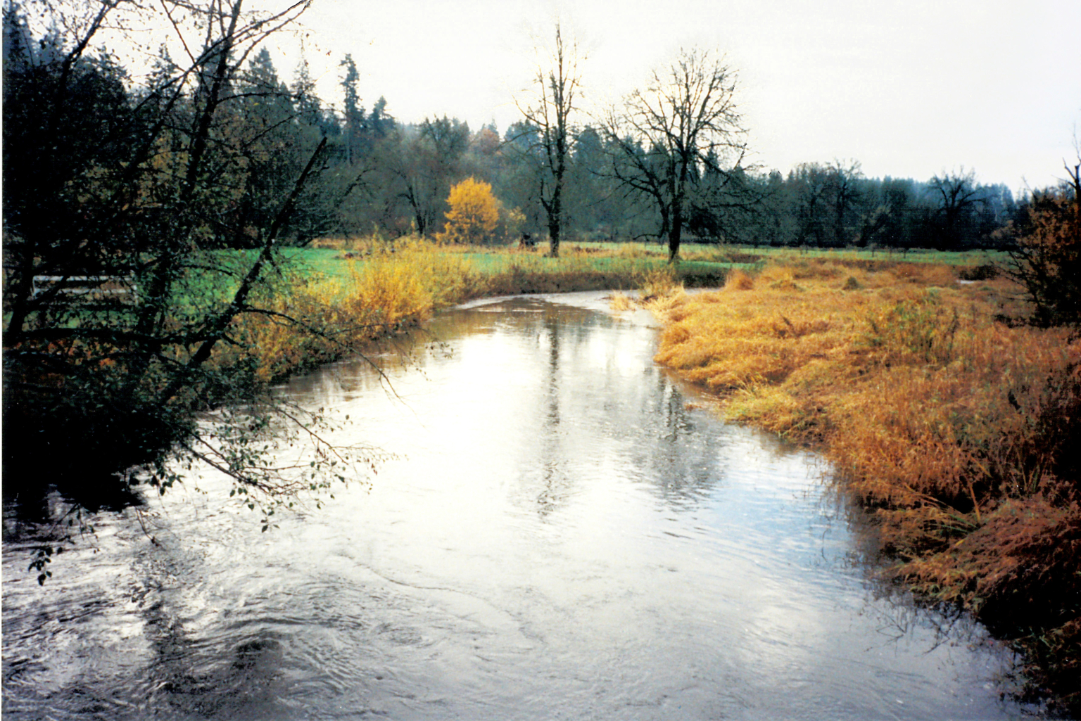 Why Is Stream Restoration Important? Clark County StreamTeam - Clark ...