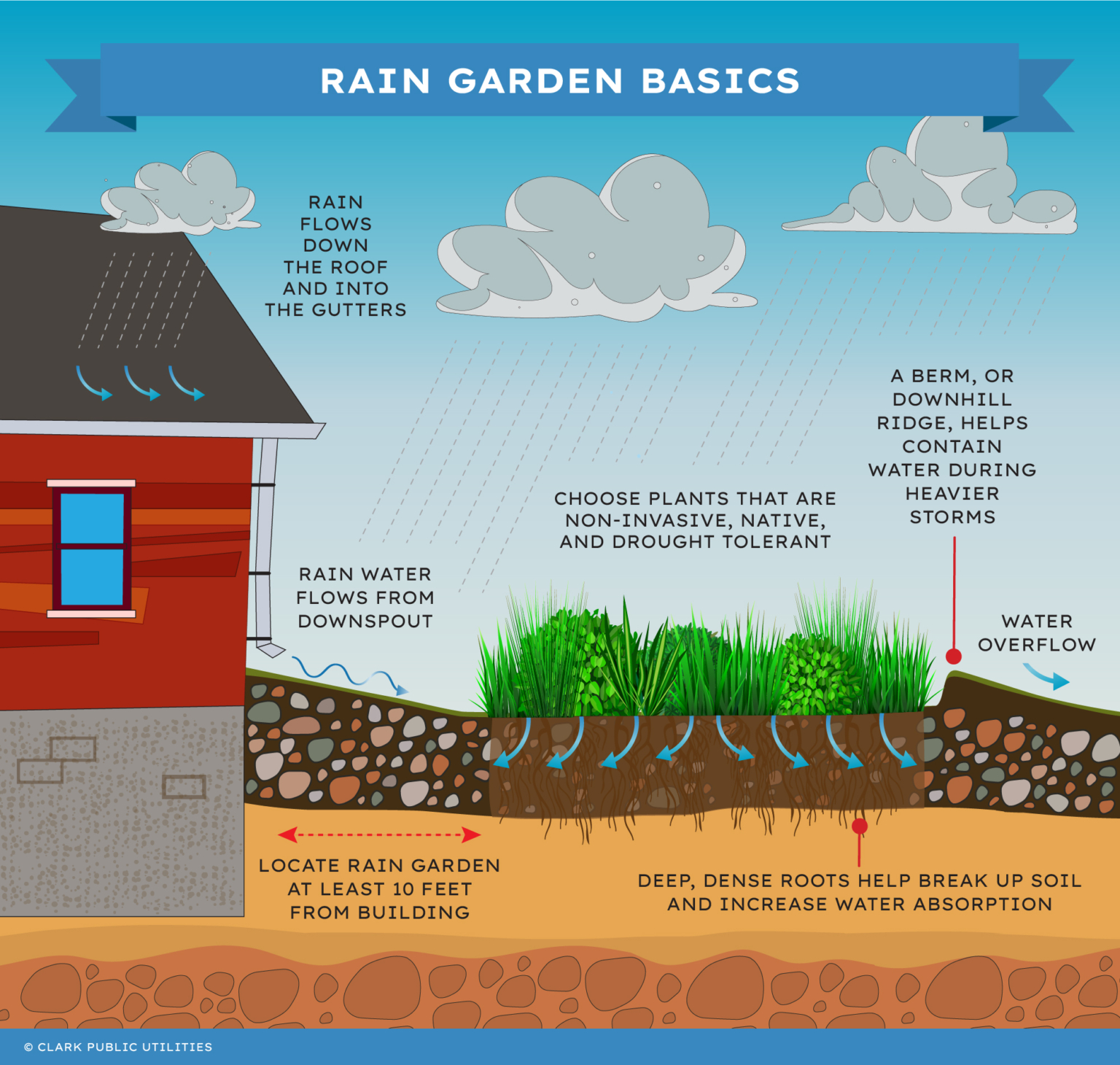 Why Is Clean Water Essential? Water Quality Lessons For Kids - Clark ...